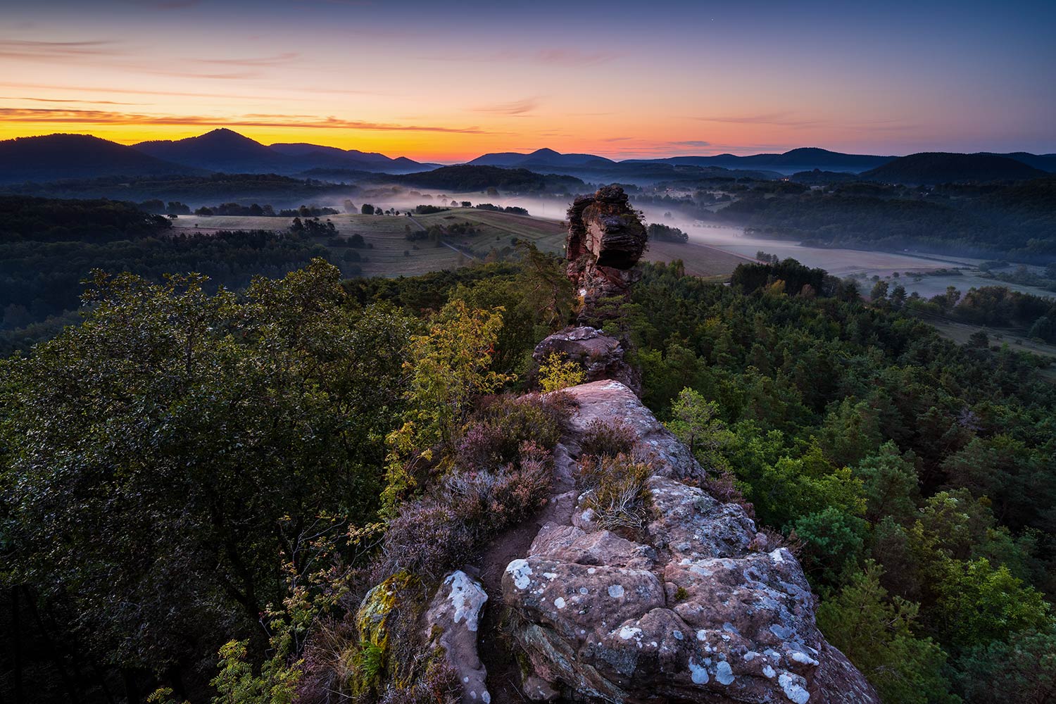 Fotoworkshop Pfälzerwald - Landschaftsfotografie | Florian Orth