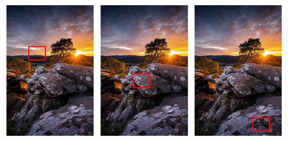 Fokus Stacking - So funktionierts! [Tutorial] - Florian Orth Photography